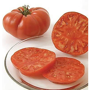 David's Garden Seeds Tomato Beefsteak Indeterminate Brandywine Red FBA-4538 (Red) 25 Non-GMO, Heirloom Seeds