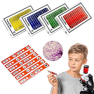 Microscope Sample Prepared Slides 48pc Kids Plastic Prepared Microscope Slides of Animals Insects Plants Flowers Sample Specimens for Stereo Kids Science Toy Educational Toy