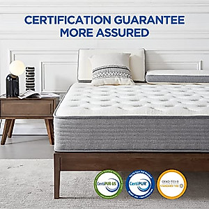 DH DIGLANT HOME Twin Mattress,10" Memory Foam Hybrid Tight Top Mattress with Pocket Spring,Medium-Firm Foam Mattress Sleep Motion Isolation, Supportive & Pressure Relieving,Mattress-in-a-Box