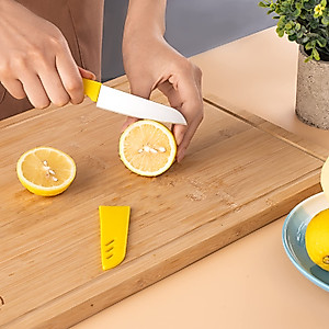 CHUYIREN Paring Knife, 4 Pcs Paring Knife with Sheath, 4" Vegetable and Fruit Knife, Stainless Steel Small Kitchen Knife for Cooking, Peeling, Slicing, Picnics,&Travel, Pink/Green/Yellow/Blue