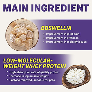 DOCTOR BY Joint for Dog and Puppy Hip & Joint Health Supplements for Dogs with Whey Protein Isolate and Boswellia - 70 Duck Flavored Soft Chews