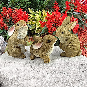 Design Toscano QM92008 The Bunny Den Rabbits Garden Animal Statues, 5 Inch, Set of Three, Multicolored