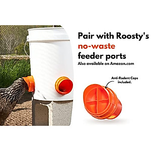 Roosty's® Chicken Waterer Cups x6 - Chicken Water Feeder Kit, Make Large Chicken Waterer 5 Gallon DIY Chicken Supplies, Chicken Water Cups, Duck Quail Waterer - Bebederos Para Gallinas,Poultry Waterer