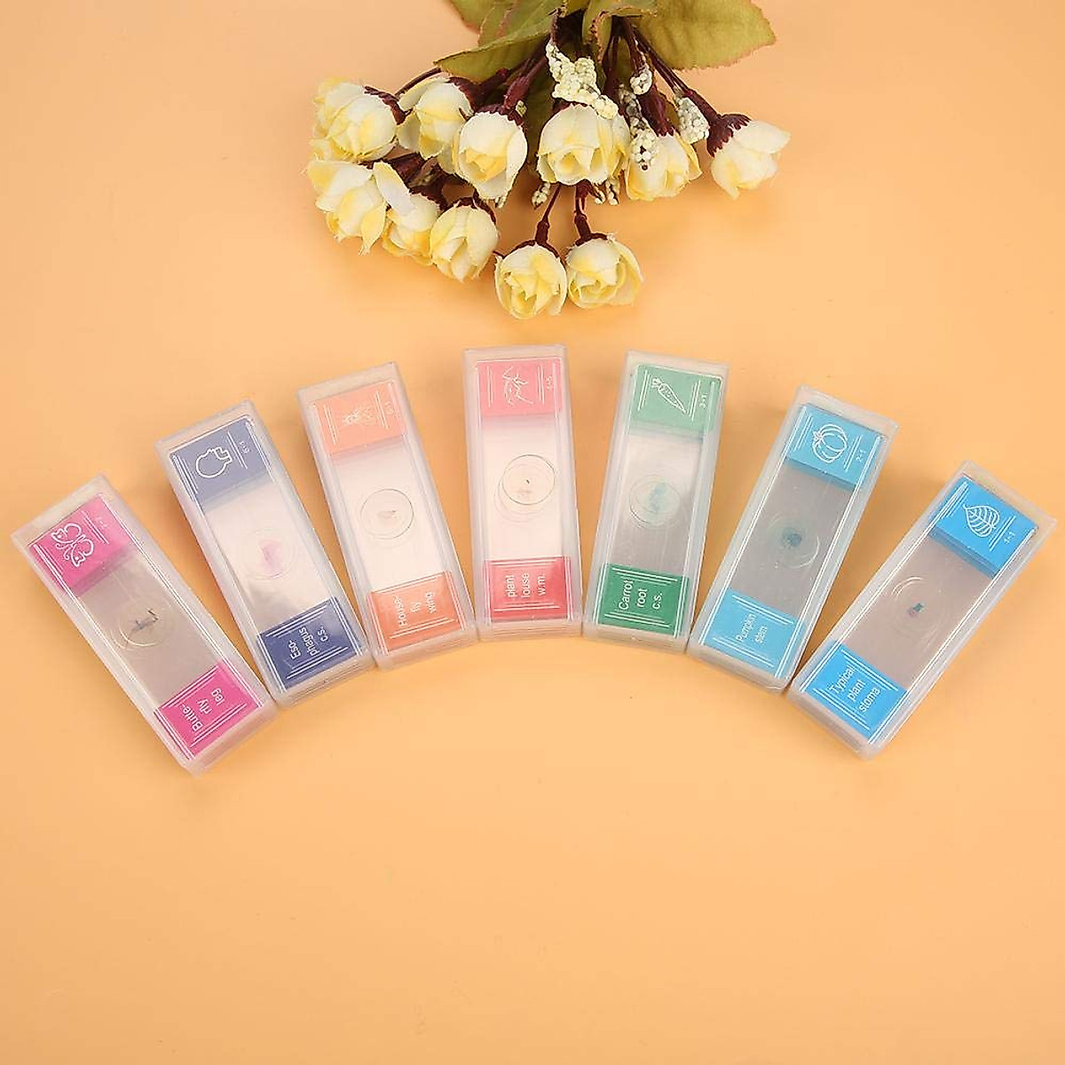 Hilitand 35pcs Biology Microscope Slide Glass Biological Prepared Slide Seven Type Biology Slide Lab Specimens Set