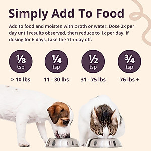 Glacier Peak Holistics Inflapotion - Natural Anti-Inflammatory Relief for Dogs & Cats, Organic Remedy Arthritis, Inflammation, Hip & Joint Pain - 3oz