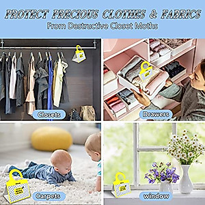 Clothes Moth Traps, Pantry Moth Traps with Pheromones Prime, Non-Toxic Sticky Glue Trap-8 Pcs, Moth Pheromone Traps for House,Kitchen, Closet, Dining Cabinet