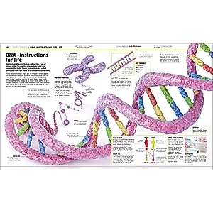 Knowledge Encyclopedia Human Body! (DK Knowledge Encyclopedias)