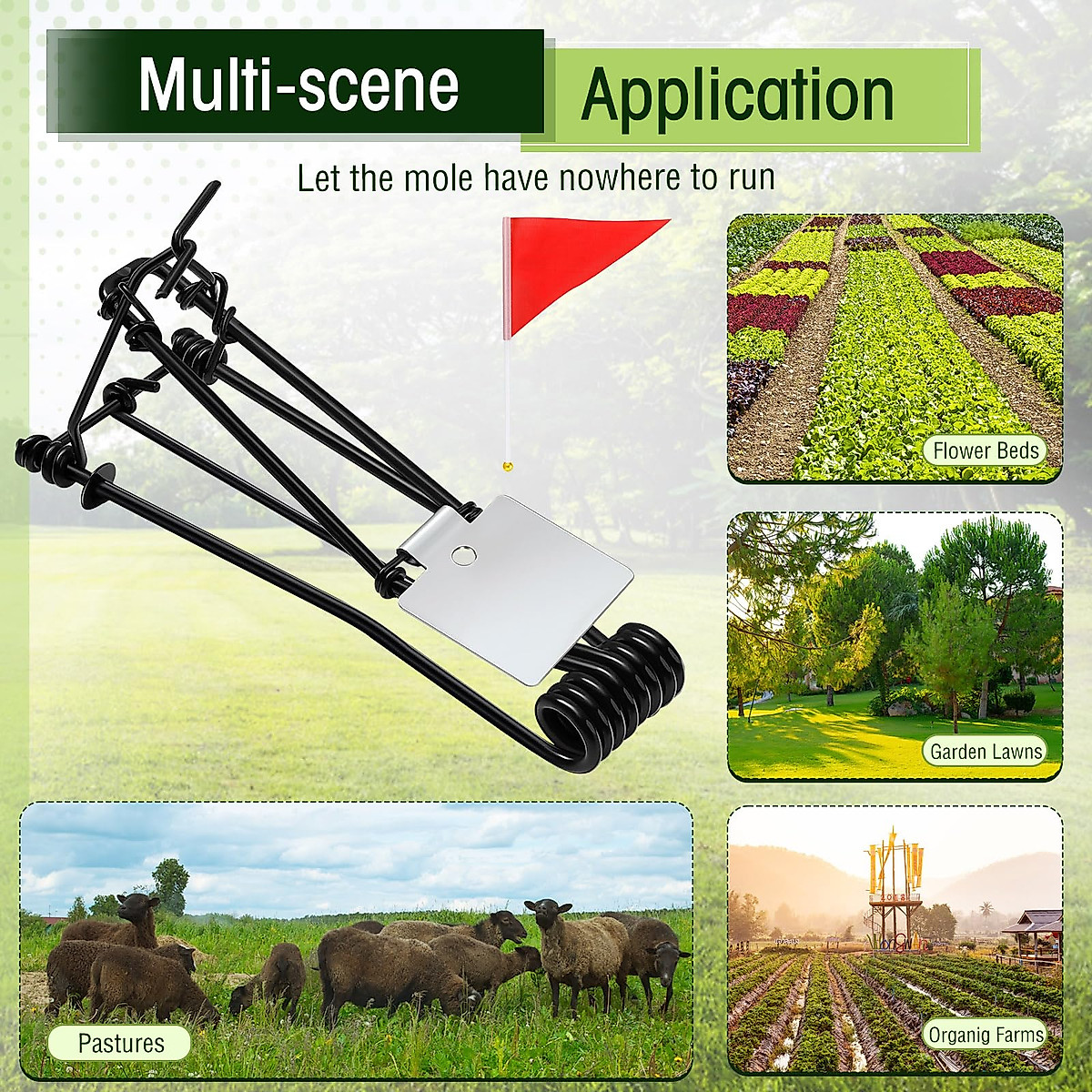 Qualirey 32 Pcs Mole Traps with Red Stick Flags Galvanized Vole Trap Mole Killer Easy to Set Reusable Weather Resistant Outdoor Gopher Trap for Lawn Yard Garden Farm (Black)