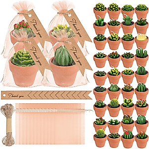 MTLEE 36 Pcs Succulent Candles Decorative Cactus Tealight Candle Tea Lights Handmade Baby Shower Candle Decorations Plant Candle with Mini Terracotta Clay Candle Holders for Wedding Home Party Decor