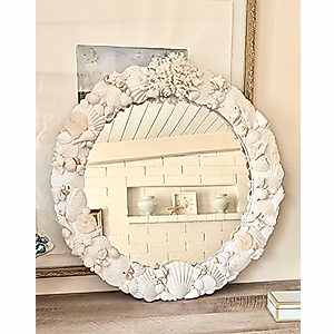 Small Tiny Sea Shells White Clam Bulk Natural Seashell for DIY Craft Home Decor Vase Fillers…