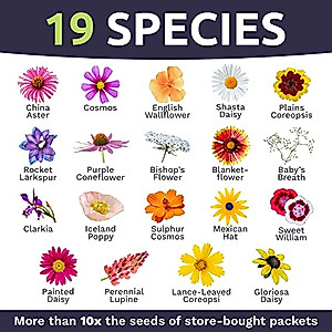 Sweet Yards Seed Co. Cut Flower Garden Seeds - Extra Large 1 Ounce Packet - Over 7,500 Fresh Open Pollinated Non-GMO Wildflower Seeds - Long Lasting Annuals and Perennials with Bright Colors