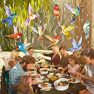 Hummingbird Hanging Swirls 20Pcs Hummingbird Birthday Decorations Hummingbird Ceiling Decor Tropical Bird Party Hanging Streamer for Summer Flying Birds Baby Shower Supplies
