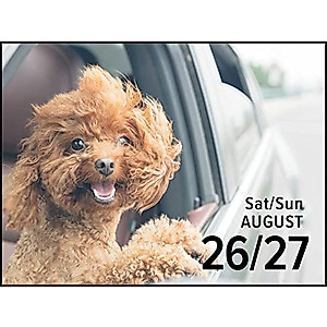 Puppies 2023 Mini Day-to-Day Calendar