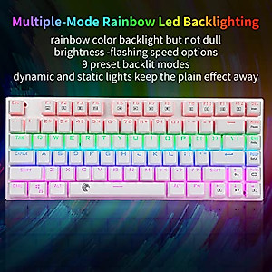 HUO JI 60% Mechanical Gaming Keyboard, E-Yooso Z-88 with Red Switches, Rainbow LED Backlit, Compact 81 Keys Hot Swappable, Silver and White