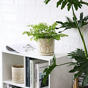 YFFSRJDJ 6 Inch Indoor Plant Pots with Drainage Holes and Saucers, Ceramic Planter for Plants, Flower Pot - Set of 2