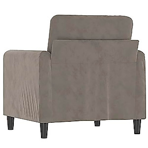 ULUYYUC Sofa Chair,Living Room Furniture Indoor Sofa Lounge Sofa Pull Out Couch with Armrests Suitable for Living Room Apartment Home Office Light Gray 23.6" Velvet