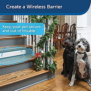 PetSafe Pawz Away Threshold Pet Barrier, Dog Proofing System for Doorways and Stairs, Designed to Train Pets Over 5 lb to Stay Out of Areas in Your Home, Battery-Operated Automatic Training