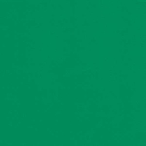 Green Cardstock - 12 x 12 inch - 65Lb Cover - 25 Sheets - Clear Path Paper