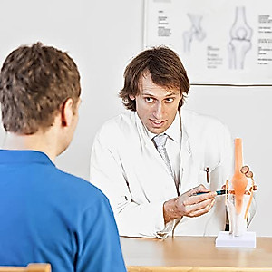 SKUMOD Anatomical Medical Knee Joint with Ligaments Model, Life-Size, for Medical Teaching Students Study Science Education