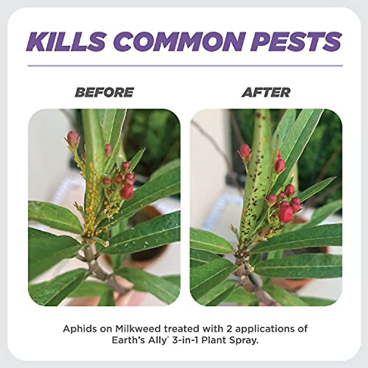 Earth's Ally 3-in-1 Plant Spray Concentrate | Insecticide, Fungicide & Spider Mite Control, for Indoor Houseplants & Outdoor Plants & Gardens - Insect, Pest & Antifungal Treatment, 32oz Concentrate
