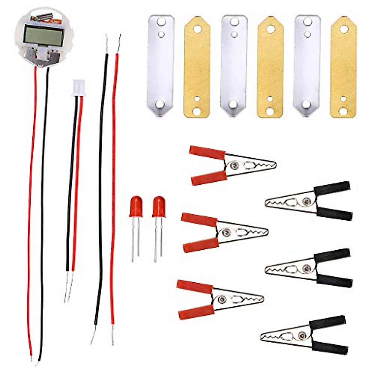 Skelang Fruit Battery Science Experiment Kit with Electronic Clock for DIY Home Teaching Toy , School Science Project, Education Subject