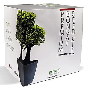 Bonsai Tree Seed Starter Kit. Bonsai Pot Included. Indoor & Outdoor DIY Beginners Easy Grow Craft & Hobby Gardening Set for Women & Men of All Ages. Unusual Housewarming Gift for Plant Lovers