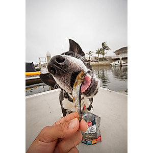 PLATO Baltic Fish Dog Treats Variety Pack, (1) Sprat 3oz and (1) Herring 3oz, 6oz Total