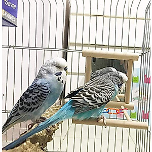 Bird Mirror Wooden Hanging Swing Interactive Play Toys for Small Parrot Budgies Macaw African Grey Parakeet Cockatiel Conure Lovebird Cage Accessories (Bird Mirror Perch Stand-2 PCS)