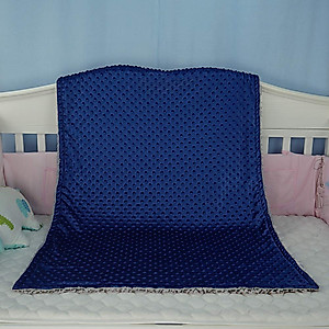 BlueSnail Baby Minky Blanket with Plush Shepra Fleece for Boys and Girls (Navy+Light Gray, 30W x 40L)