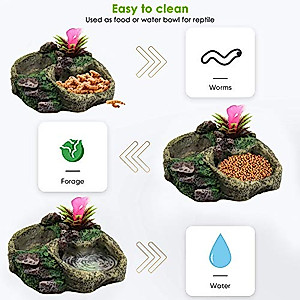 iFCOW Resin Feeder Bowl, Reptile Water Dish Food Bowl Resin Feeder Bowl for Tortoise Lizard