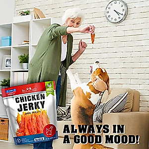 Chicken Jerky Dog Treats 1.5 Lb - Human Grade Pet Snacks & Grain Free Organic Meat - All Natural High Protein Dried Strips - Best Chews for Training Small & Large Dogs - Bulk Soft Pack Made for USA