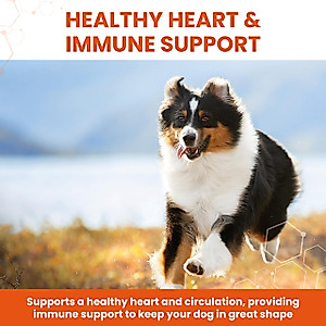 Vetzyme Garlic Health Supplement Tablets for Dogs, Healthy Heart, Vitality for Dogs, 240 Tablets