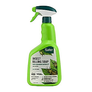 Safer Brand 5110-6 Insect Killing Soap, 32 oz. - 2 Pack