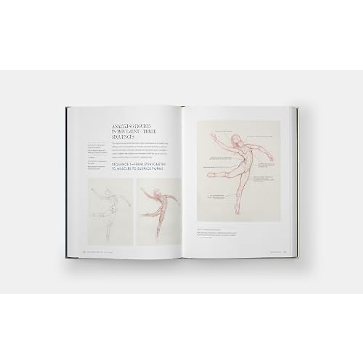 Dynamic Human Anatomy: An Artist's Guide to Structure, Gesture, and the Figure in Motion