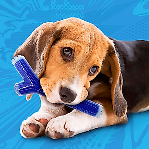 Nerf Dog 10in TPR/PP Scented Peanut Butter SuperScent Stick Solid Core -Clear/Blue, (NF-7133)