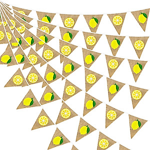 24Ft Lemon Burlap Banner Lemon Burlap Pennant Triangle Flag Garland Streamers Vintage Fireplace Wall Decor for Summer Lemonade Party Happy Lemon Day Rustic Birthday Baby Bridal Shower Decorations