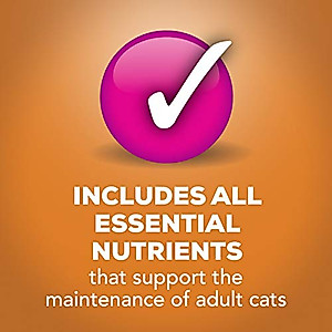 Purina Friskies Gravy Wet Cat Food, Prime Filets With Chicken - (24) 5.5 oz. Cans