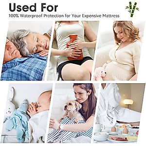 HYLEORY Queen Size Waterproof Mattress Protector Viscose Made from Bamboo Cooling Mattress Pad Cover Breathable Soft 3D Air Fabric Noiseless Washable Fitted Sheet with Deep Pocket Up to 21"