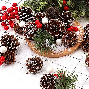 30Pcs Mini Christmas Trees and 115Pcs Christmas Pine Cones Berry Pine Branch Set