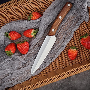 AYANICA Kitchen Knife 4.5 inch Lightweight High Carbon Stainless Steel Sharp Blade Wooden Ergonomic Handle Paring Peeling Fruit Slicing