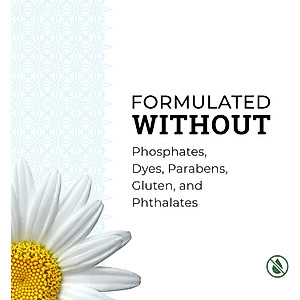 Home Made Simple Dish Soap Natural Dishwashing Liquid Plant Based, Rosemary Scent, 16 Fluid Ounce 1 Pack