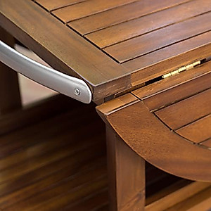 Christopher Knight Home Tillary Tiller Outdoor Acacia Wood Bar Cart Aluminum Accents, Dark Oak/Shiny Powder Coating