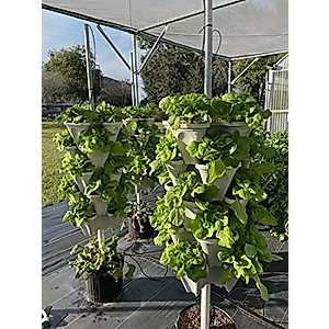 Harvest Hero Enhanced Perlite Soil Mix with Diatomaceous Earth & Essential Nutrients – Promotes Robust & Vigorous Growth for Indoor & Outdoor Plants, Transplanting, Garden Beds & Seedlings (16 QT)