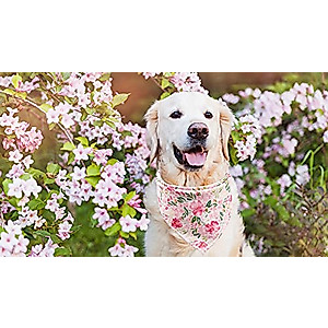 Lionet Paws Dog Bandana for Small Medium Large Dogs, Cat Dog Kerchief Dog Triangle Bibs Scarf for Girl