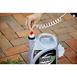 Roundup Ready-To-Use Max Control 365 with Comfort Wand