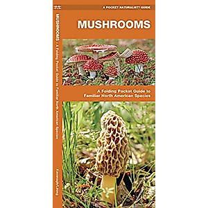 Mushrooms: A Folding Pocket Guide to Familiar North American Species (Nature Observation North America)