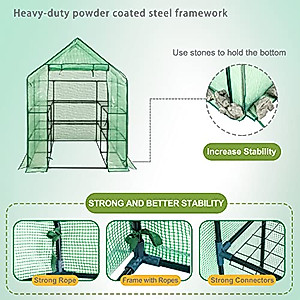 Mini Walk-in Greenhouse for Outdoors, 3 Tiers 8 Shelves, 57x61x80 Inch with Observation Windows and Roll-up Door Zipper, Plant Garden Hot House for Plants, Herbs, Flowers