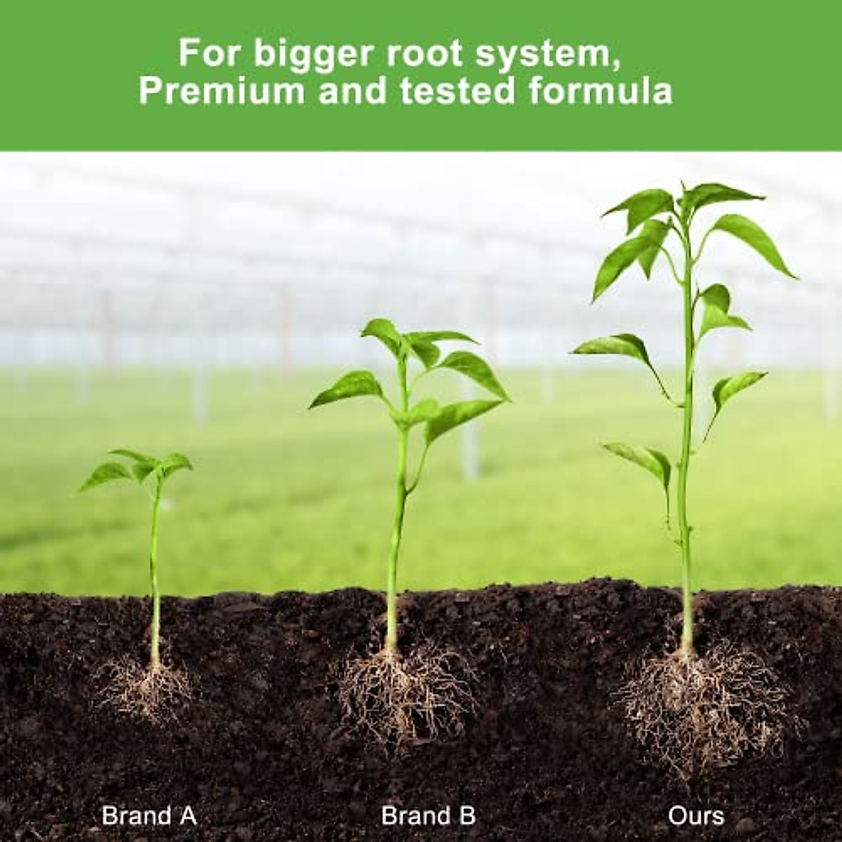 Hormone Root Fertilizer, Organic Fertilizer, Plant Fertilizer, All Purpose Indoor Plant Fertilizer(150g/5.3Oz)