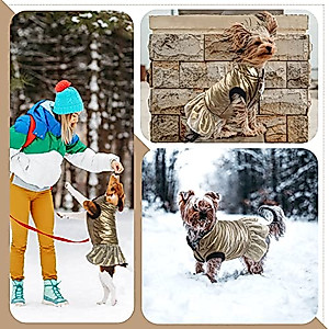 T'CHAQUE Warm Dog Winter Coat Dress Waterproof Puppy Clothes, Stylish Dog Dress Holiday Costume for Small Medium Dogs Girl, Cozy Pet Clothing Party Dresses Cold-Weather Dog Coats with Leash Hole