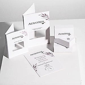 AeraVida Tropical Twice Twisted 3 mm Band .925 Sterling Silver Ring | Classic Wedding Rings For Women | Sterling Silver Rings Sizes (10)